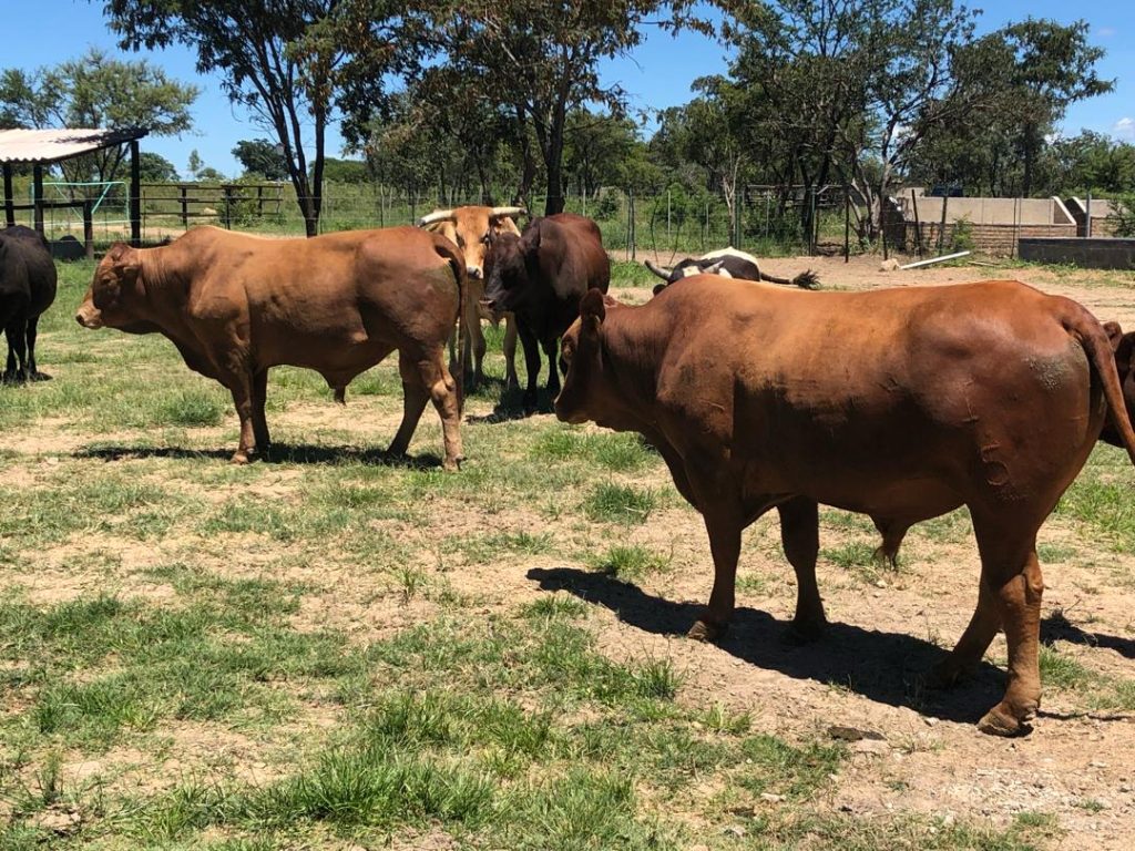 NaLFA SA Press release March 2024 – NaLFA-SA